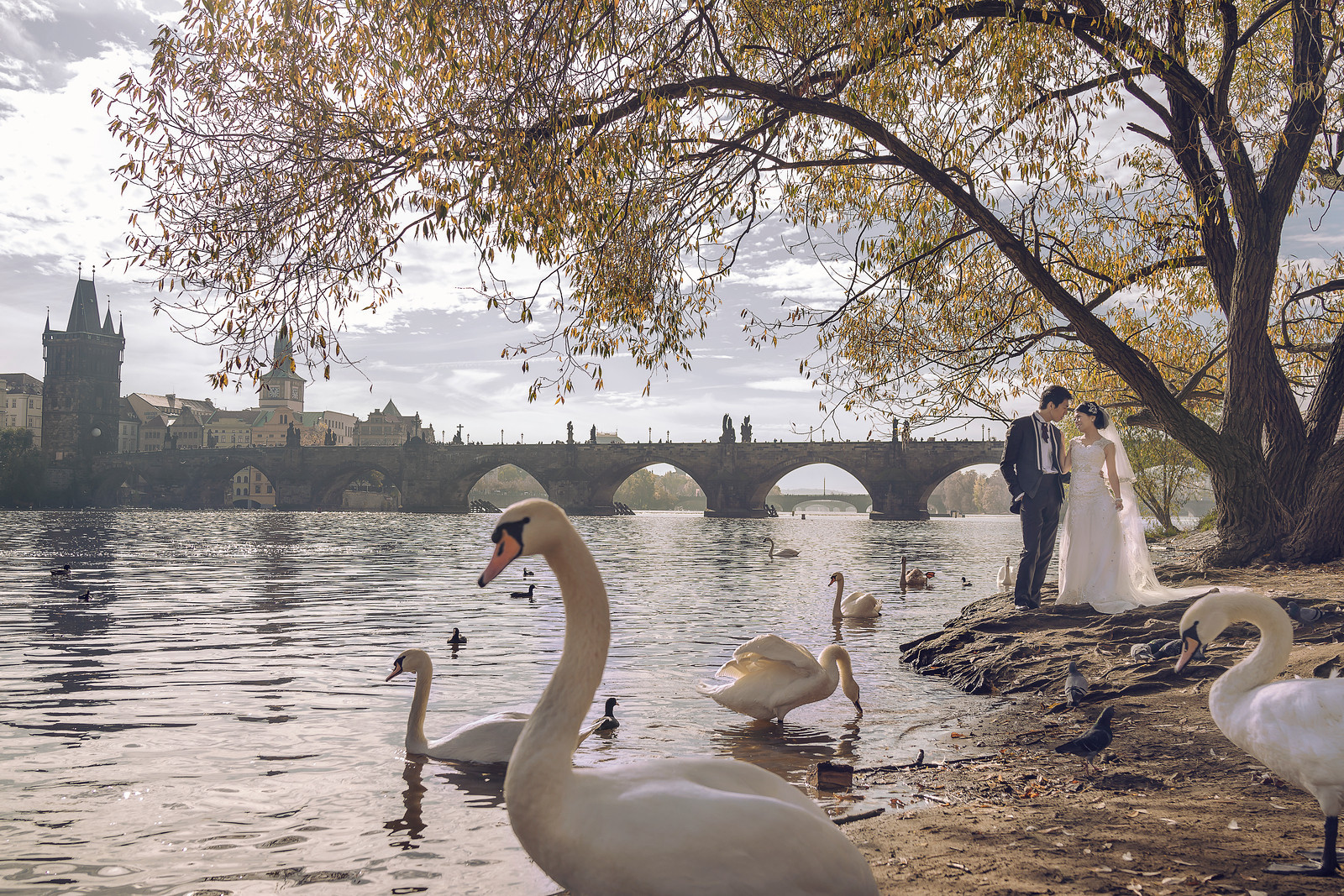 An Autumn Fairytale [Rf Photo of the Day] | Rangefinder