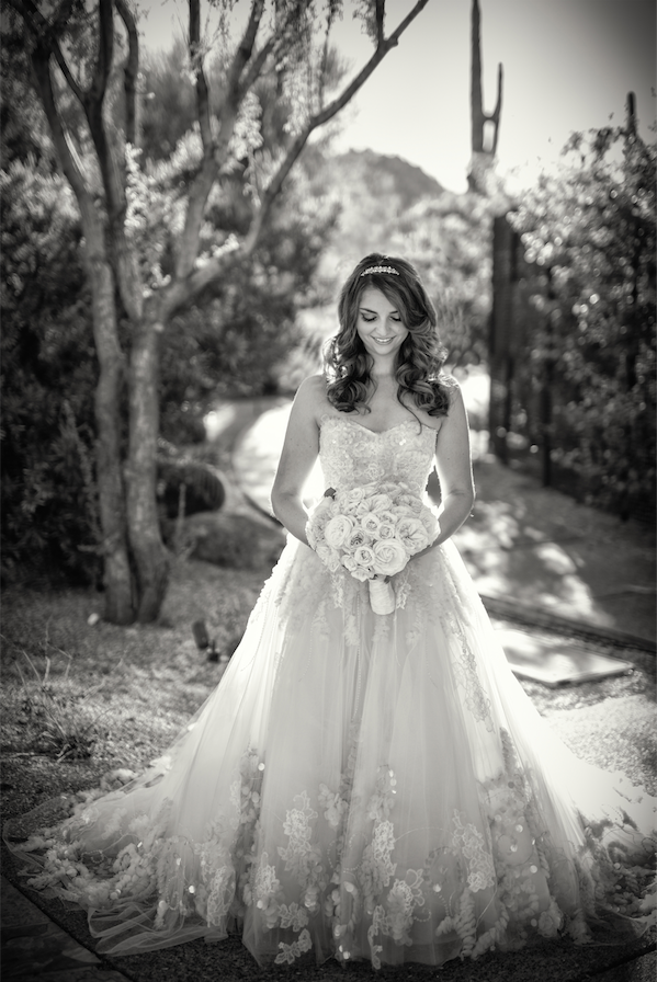 Andy Marcus Shares His Lens Selection Process | Rangefinder