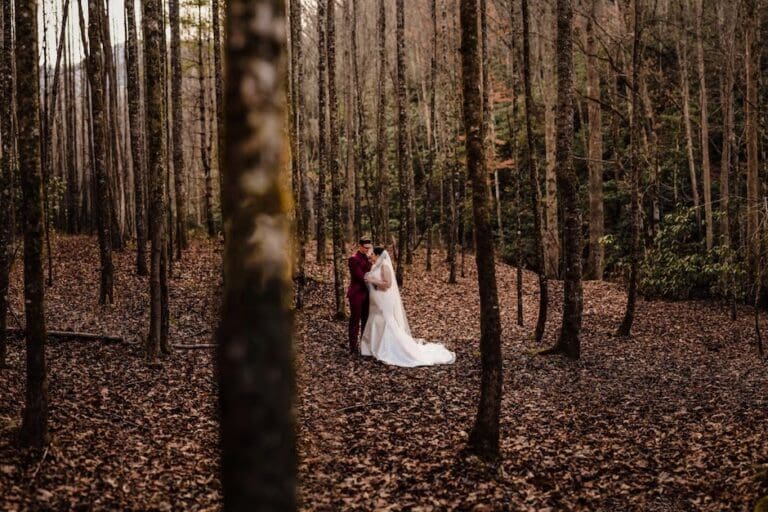 6 Top Tips for Taking Incredible Forest Portraits | Rangefinder